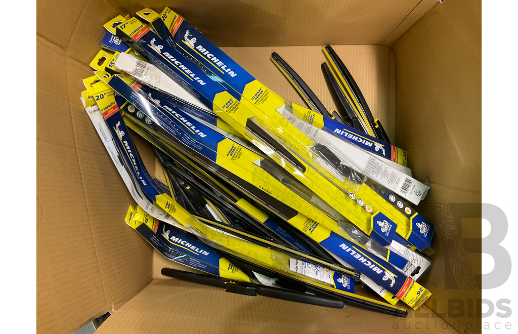 MICHELIN Hydroedge Wiperblade BLUK - Lot 1439598 | CARBIDS