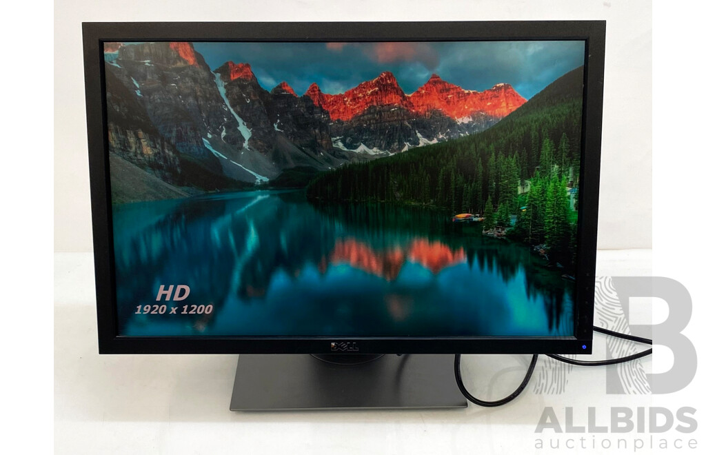 Dell UltraSharp (U2410f) 24-Inch - Lot 1498834 | ALLBIDS
