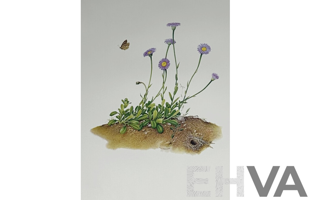 Terry Nolan, (20th Century, Australian, - Lot 1579898 | EHVA