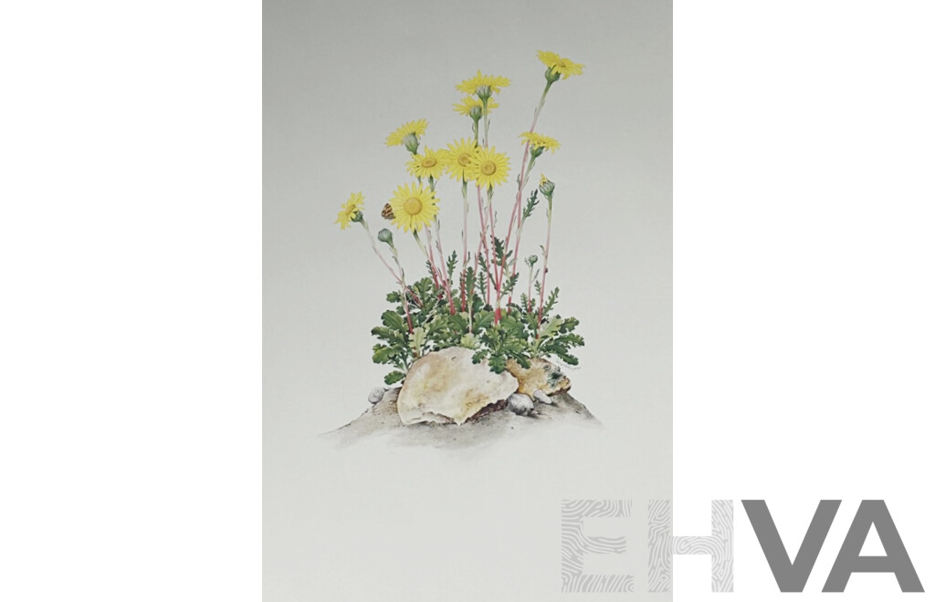 Terry Nolan, (20th Century, Australian, - Lot 1608059 | EHVA