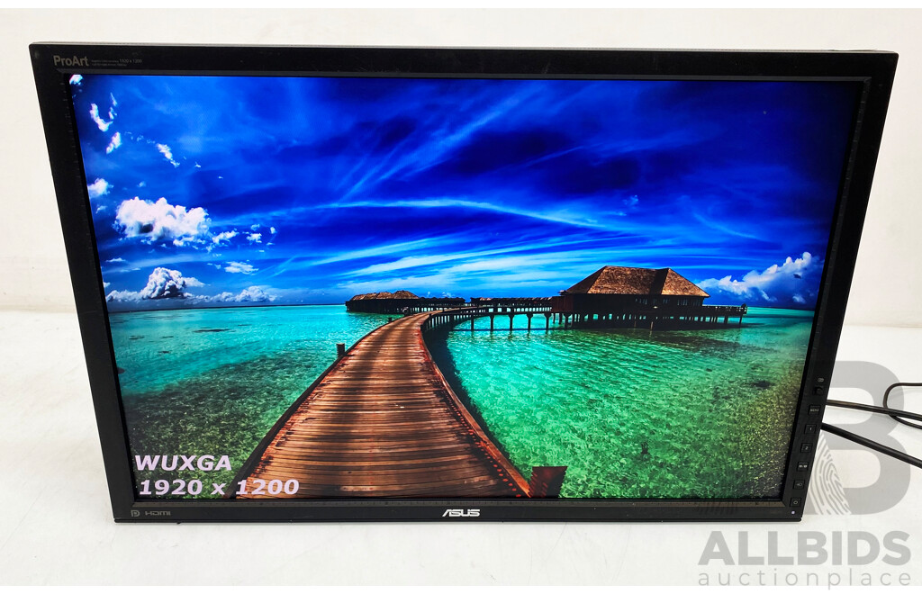 ASUS ProArt (PA248Q) 24-Inch WUXGA - Lot 1538265 | ALLBIDS