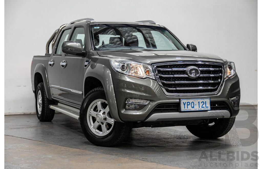06/2020 Great Wall Steed NBP MY20 - Lot 1564949 | CARBIDS