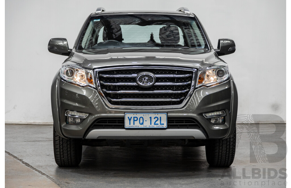 06/2020 Great Wall Steed NBP MY20 - Lot 1564949 | CARBIDS