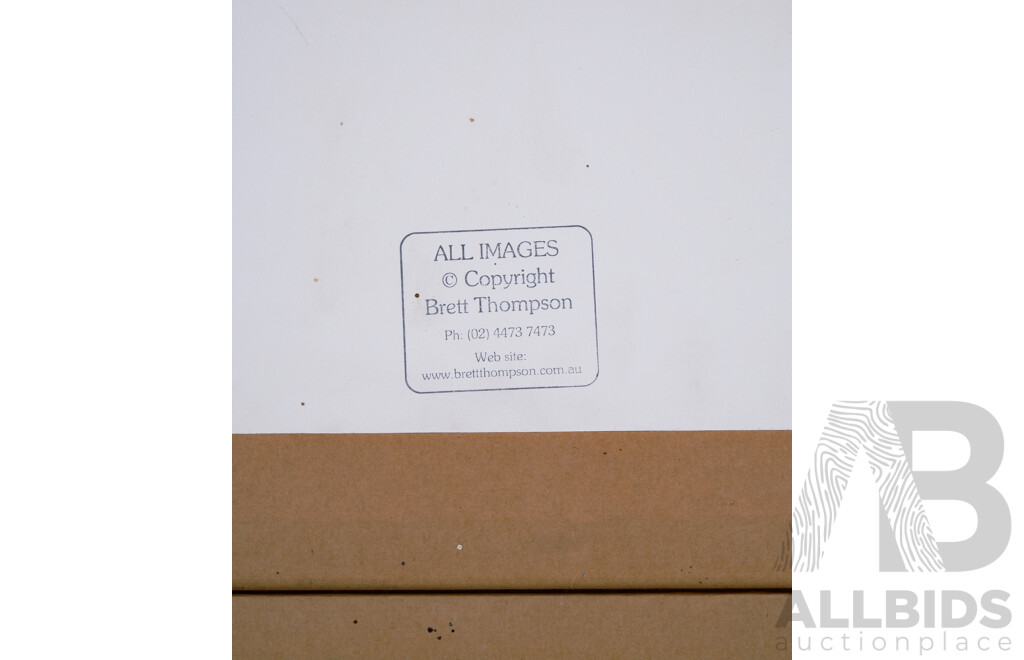 Brett Thompson, (20th Century, - Lot 1592763 | ALLBIDS