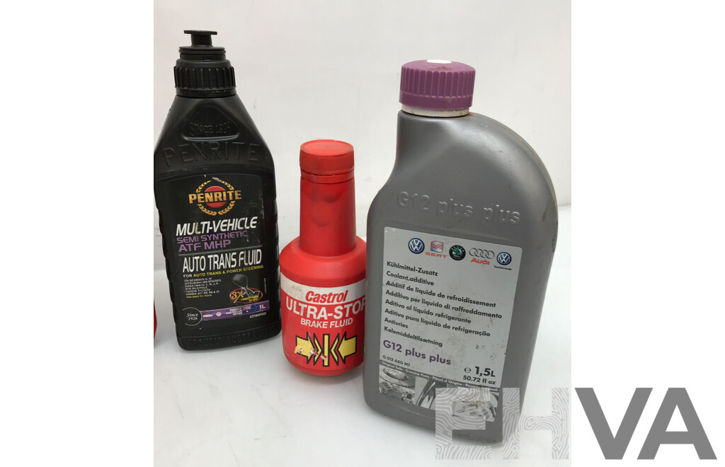 Assorted Car Fluids and Petrol - Lot 1606537 | EHVA
