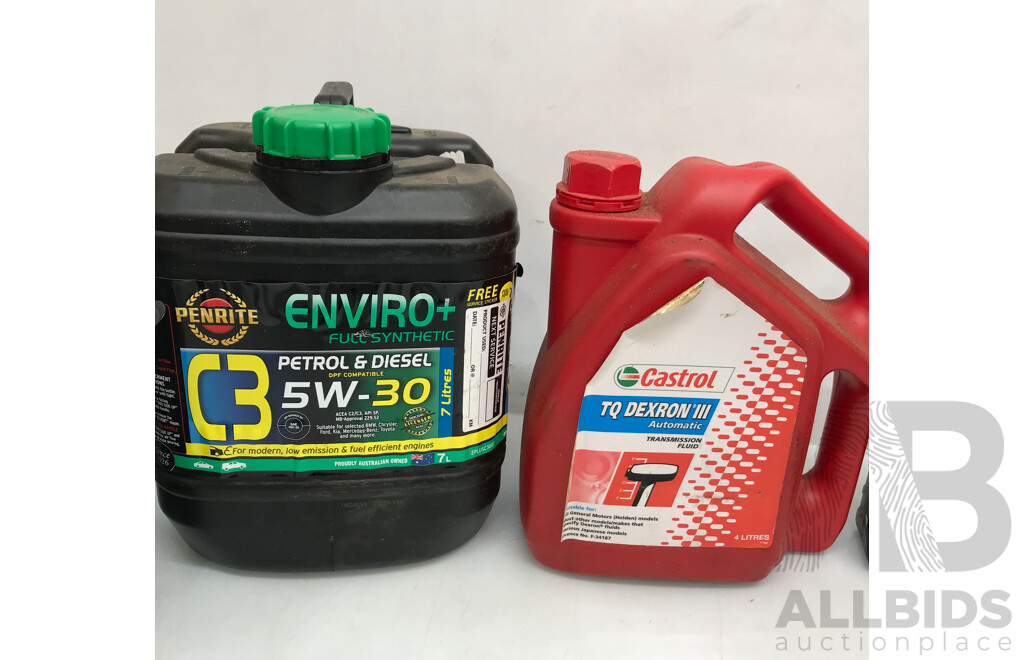 Assorted Car Fluids and Petrol - Lot 1606537 | CARBIDS